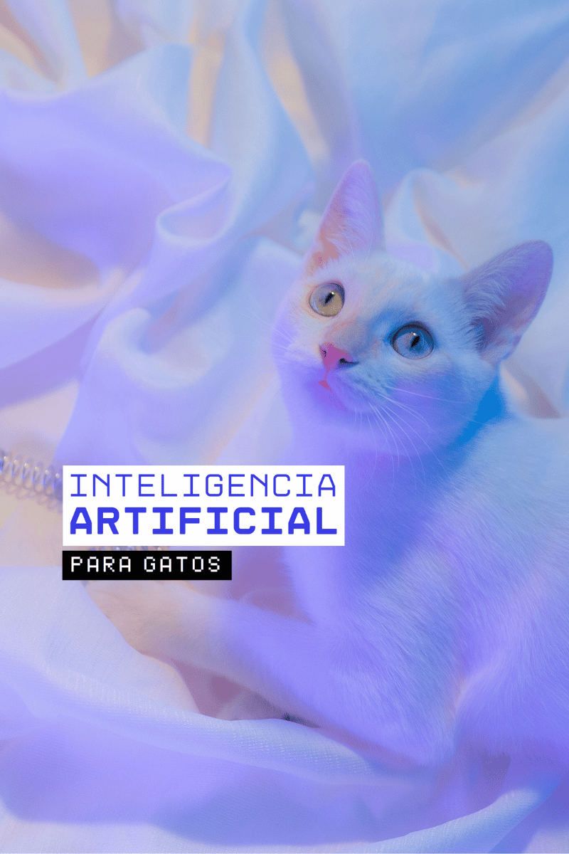 Inteligencia Artificial Felina que no sabías que necesitabas ...
